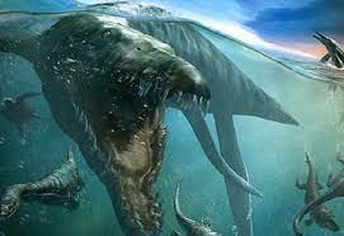 Monster Laut Timingila Tertulis di 'Susruta Samhita' Abad ke-6 SM ...