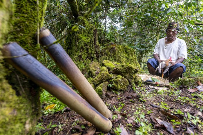 Untold Flores: Ritual Adak Pua Kopi di Colol Manggarai Timur - Halaman ...