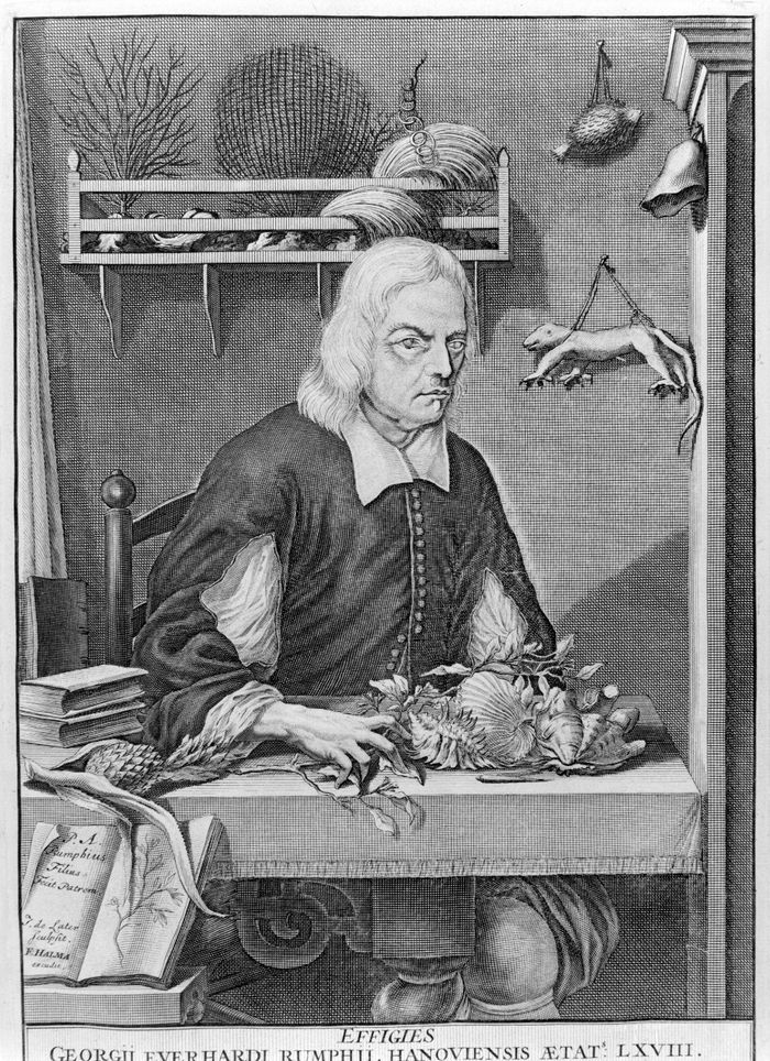 Orang Cina dalam Cerita Sebutir Kacang di Jalur Rempah Nusantara ...