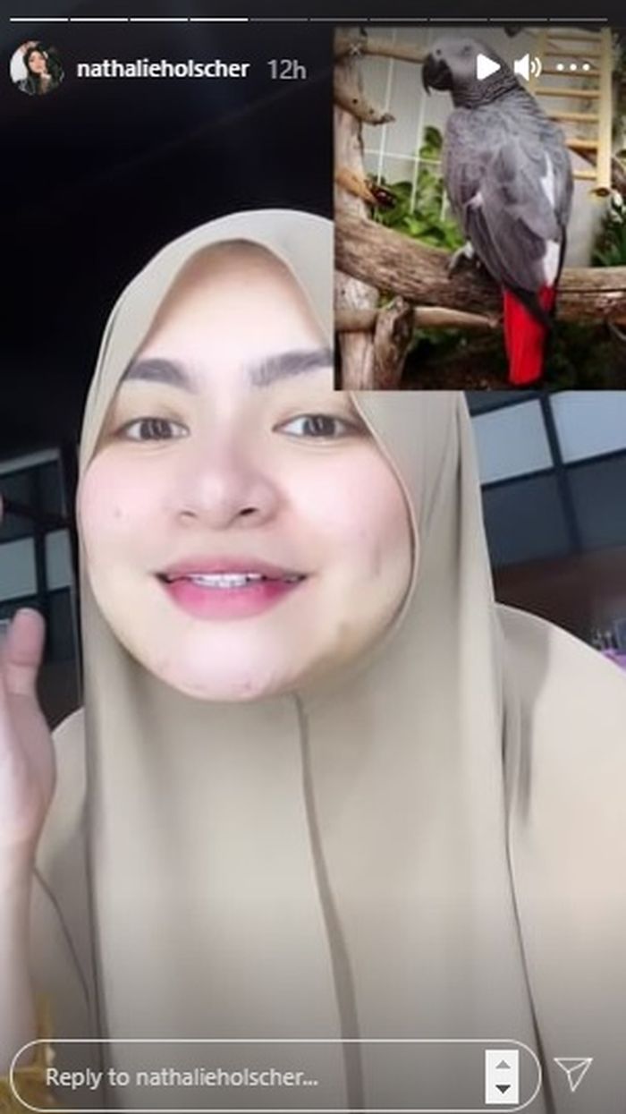 Nathalie Holscher Hamil Anak Pertama Ngidam Punya Burung Kakatua yang Bisa Bicara, Sule Rela ...