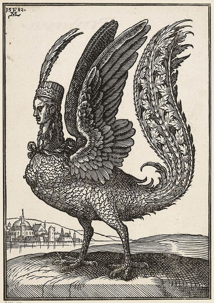 Elang Terbesar di Dunia Sedang dalam Bahaya karena Penggundulan Hutan ...