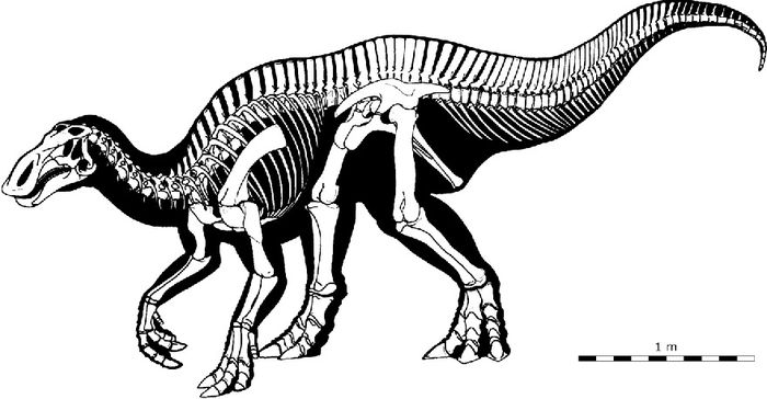 Punya Tumor dan Tulang Ekor Patah, Dinosaurus Ini Masih Tetap Hidup ...