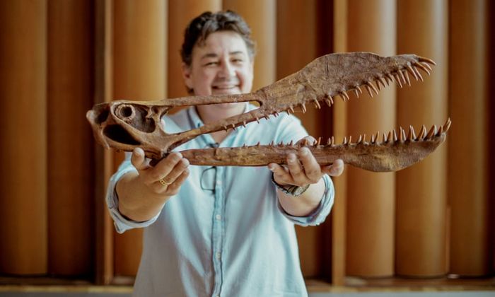 Thapunngaka shawi, Pterosaurus Terbesar di Australia Mirip Naga - Semua ...