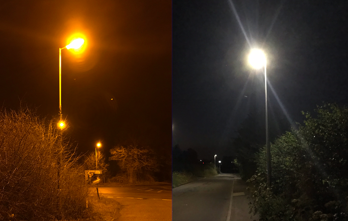 Studi Baru Mengungkap Dampak Lampu Jalan terhadap Populasi Ngengat ...