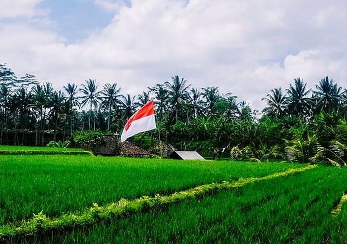 Sejarah Bendera Merah Putih yang Menjadi Kebanggan Indonesia - Semua ... Sejarah Bendera Merah Putih yang Menjadi Kebanggan Indonesia - Semua ...