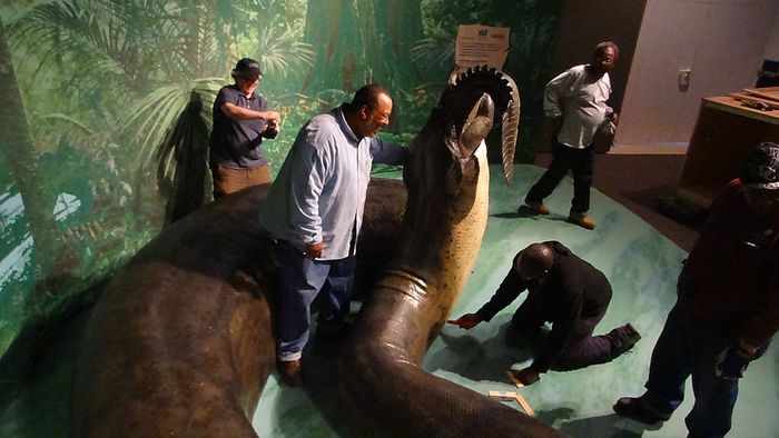 Gimana Wujud Titanoboa yang Pernah Jadi Ular Terbesar di Dunia? - Hai