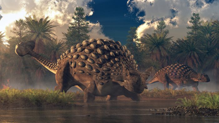 Spicomellus afer, Spesies Baru Dinosaurus Herbivora dari Maroko - Semua ... Spicomellus afer, Spesies Baru Dinosaurus Herbivora dari Maroko - Semua ...