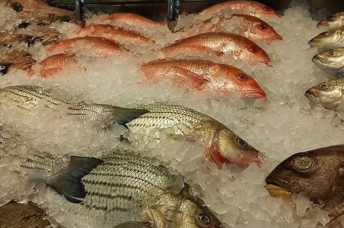 Jangan Buru-Buru Disimpan di Dalam Freezer, Ini 4 Langkah yang Benar ...