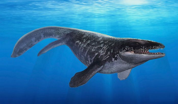Mosasaurus si Penguasa Lautan Saat T. Rex Berkeliaran di Darat ...