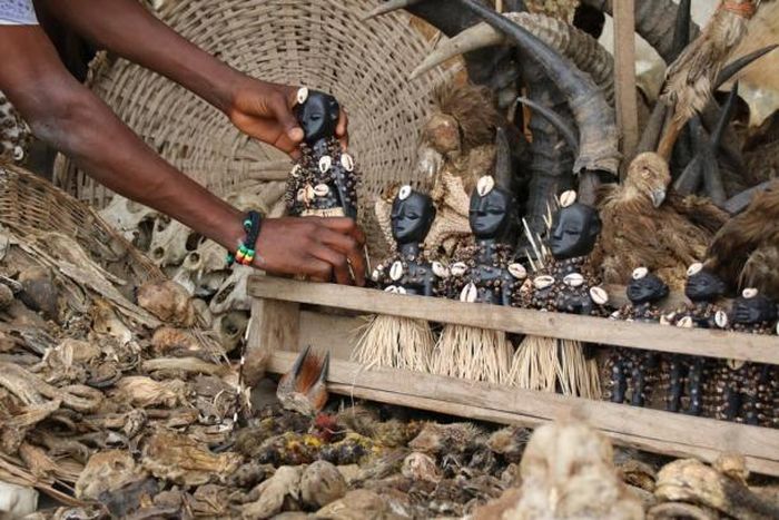 Bukan Ilmu Hitam, Voodoo Adalah Kepercayaan Asal Afrika Barat - Semua ...