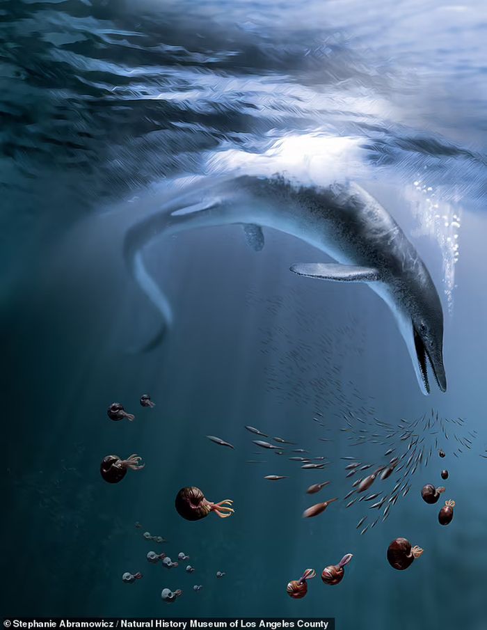 Cymbospondylus youngorum, Reptil Laut Raksasa Dengan Berat 40 Ton ...