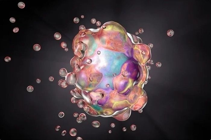 Ilmuwan Temukan Metode Baru untuk Menganalisis Proses Kematian Sel ...