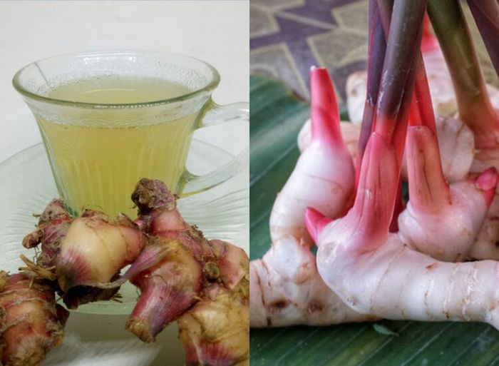 BERITA POPULER : Dari Manfaat Minum Air Rebusan Lengkuas sampai Manfaat ... BERITA POPULER : Dari Manfaat Minum Air Rebusan Lengkuas sampai Manfaat ...