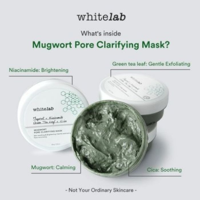 3 Rekomendasi Masker Mugwort yang Ampuh Atasi Masalah Pori-pori Wajah ...