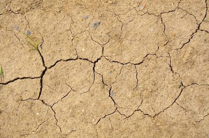 Kunci Jawaban IPA Kelas 9 SMP: Dampak dan Akibat Utama Erosi Tanah - Kids