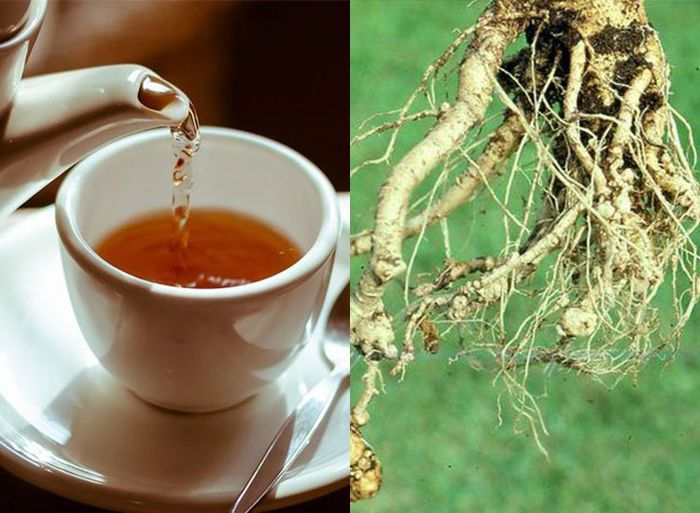 BERITA POPULER : Dari Manfaat Minum Air Rebusan Akar Pepaya sampai ...