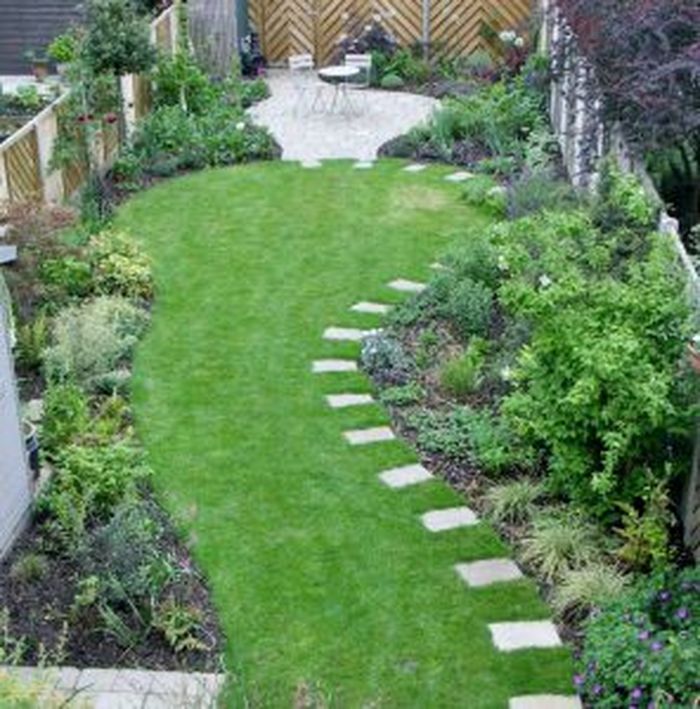 Kucai Mini Mati Jika Diinjak-injak, Simak Cara Menanam Kucai Mini yang ...