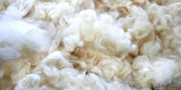 Selidik Salah Satu Pusat Industri Tekstil Wol Zaman Perunggu - National ...