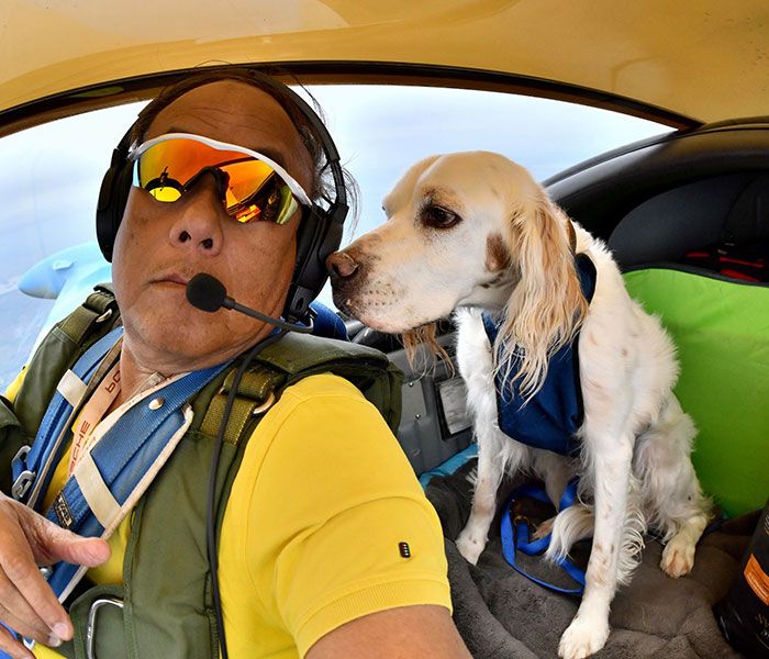 Berhati Mulia, Pilot Ini Antar Anjing-Anjing Adopsi ke Rumah Baru ...