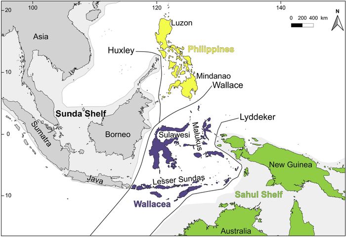 Apa Penyebab Flora dan Fauna di Barat dan Timur Indonesia Berbeda ...