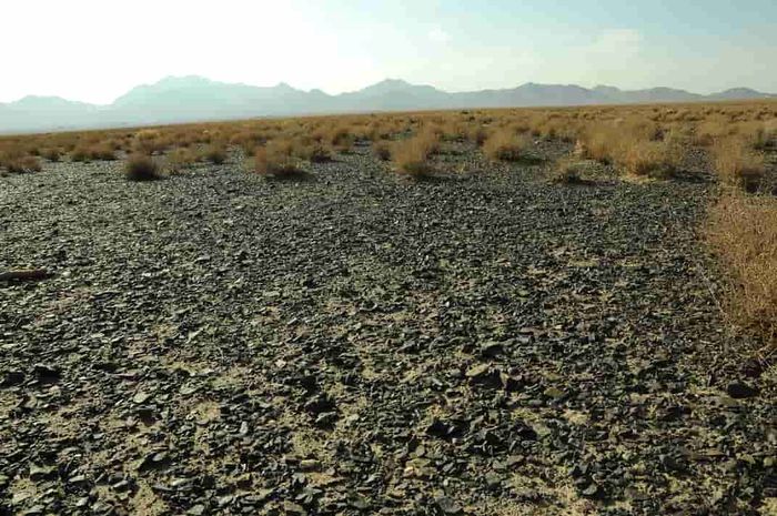 Pengertian dan Macam-Macam Hasil Erosi Angin, Geografi Kelas 9 SMP - Kids