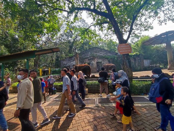 Harga Tiket Murah, Berikut Tarif Harga Taman Margasatwa Ragunan Jakarta ...