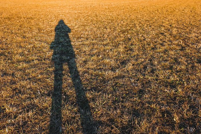 Proses Terbentuknya Bayangan, Materi Kelas 5 SD Bab 1 - Semua Halaman ...