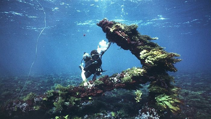 Kisah Perjuangan Kompeni VOC dari Musibah Karamnya Kapal Zeewijk ...