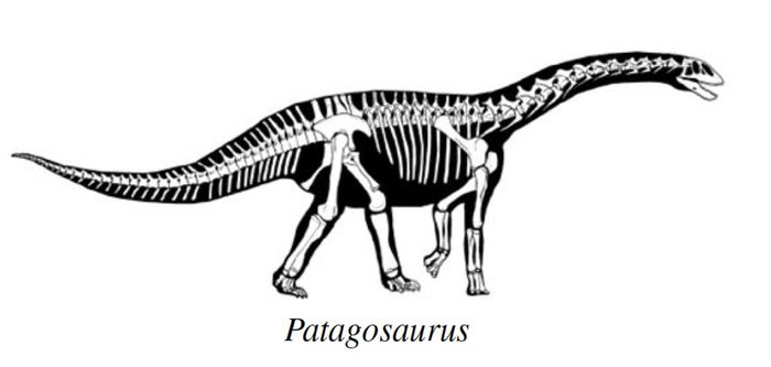 Spesies Baru Dinosaurus Leher Panjang Diidentifikasi di Kolombia ...