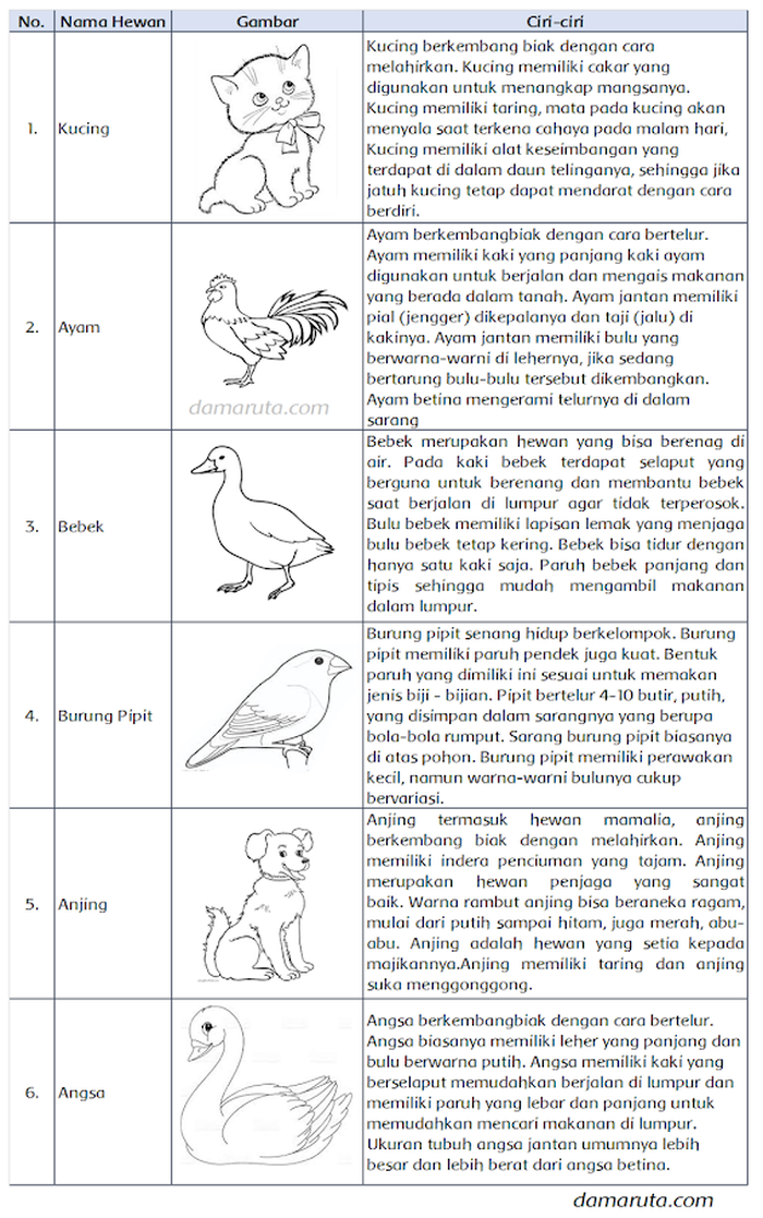 Jawaban Temukan Ciri-ciri Hewan di Sekitar Rumahmu Kelas 4 SD Tema 3 ...
