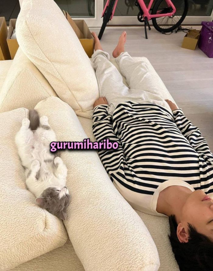 Foto HD V BTS Tidur di Samping Kucing Diduga Milik Ibu Jennie BLACKPINK ...