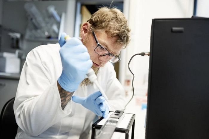 Dunia Hewan: Enzim Mikroba Kunci Pencernaan Pektin pada Kumbang Daun ...