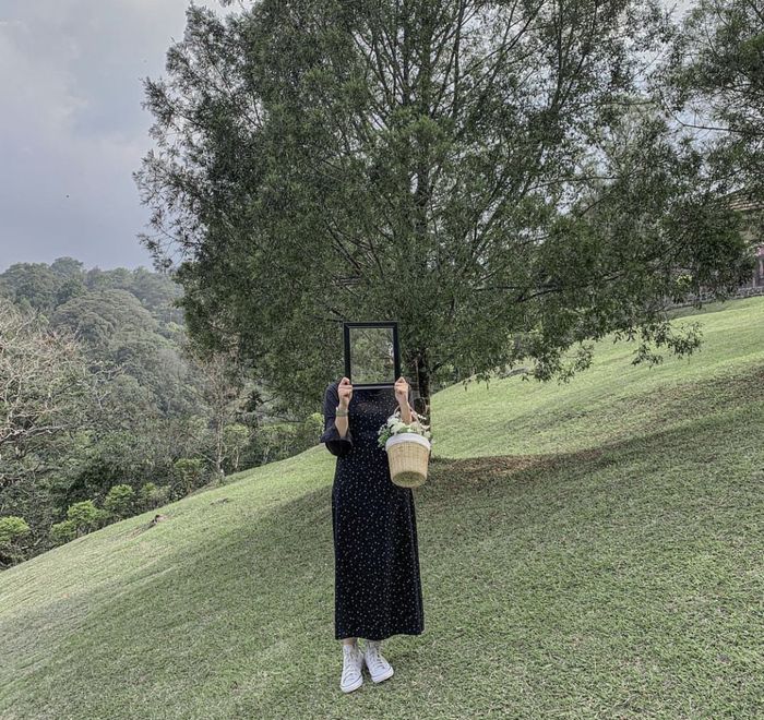 Cocok Jadi Lokasi Foto Aesthetic, 10 Tempat Wisata di Puncak Bogor ...