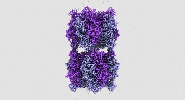 Singkap Sejarah Fotosintesis dengan Menghidupkan Kembali Enzim Kuno ...