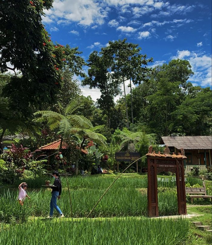 Ini 5 Tempat Wisata Kuliner di Sentul, Cocok Buat Foto Estetik - Fotokita