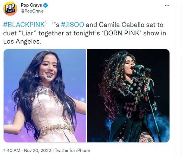 Jisoo BLACKPINK dan Camila Cabello Bakal Kolab di Konser BORN PINK! - CewekBanget
