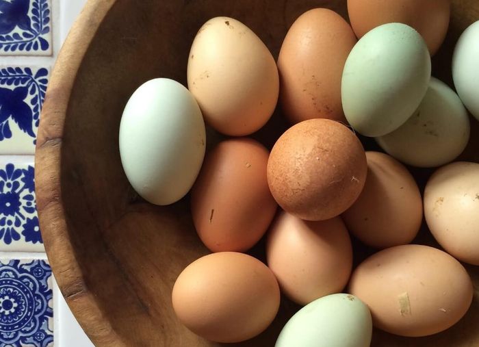 BERITA POPULER : Dari Cara Menyimpan Telur Agar Tahan Lama sampai ...