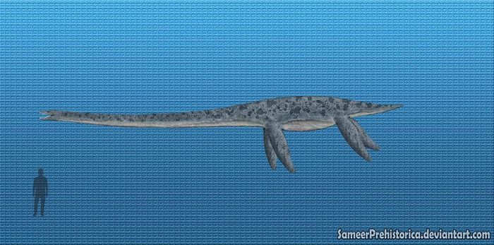 Eromangasaurus australis, Reptil Laut Berleher Panjang dari Australia ...