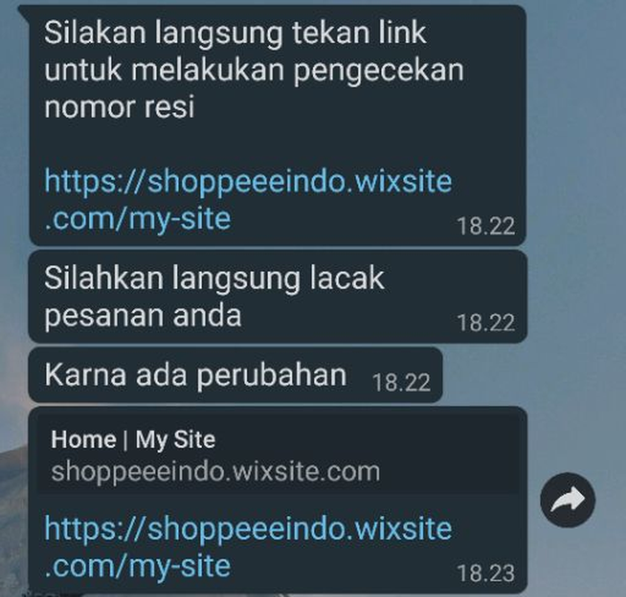 Hati Hati Ini Modus Penipuan Yang Biasa Dipakai Toko Phising Di Shopee