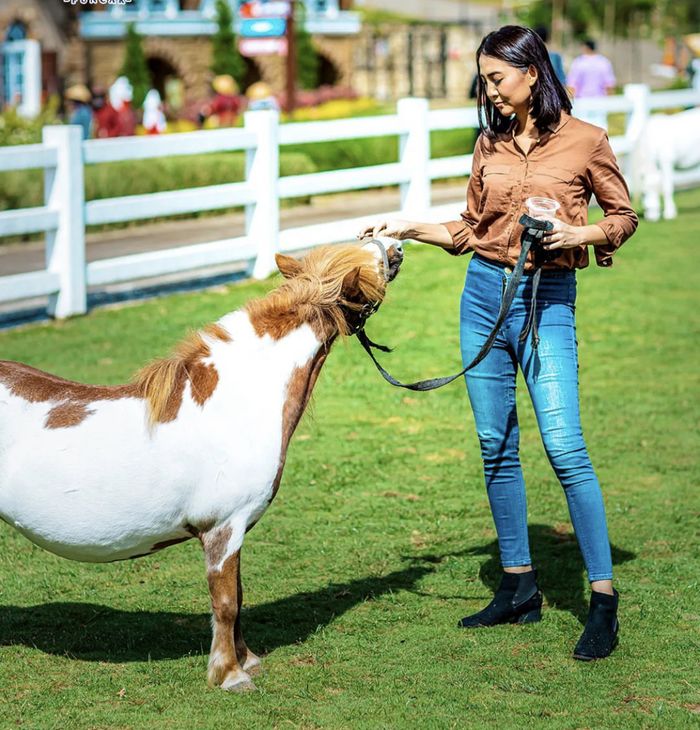 Berapa Harga Tiket Masuk Cimory Dairyland Puncak, Tempat Wisata di ... Berapa Harga Tiket Masuk Cimory Dairyland Puncak, Tempat Wisata di ...