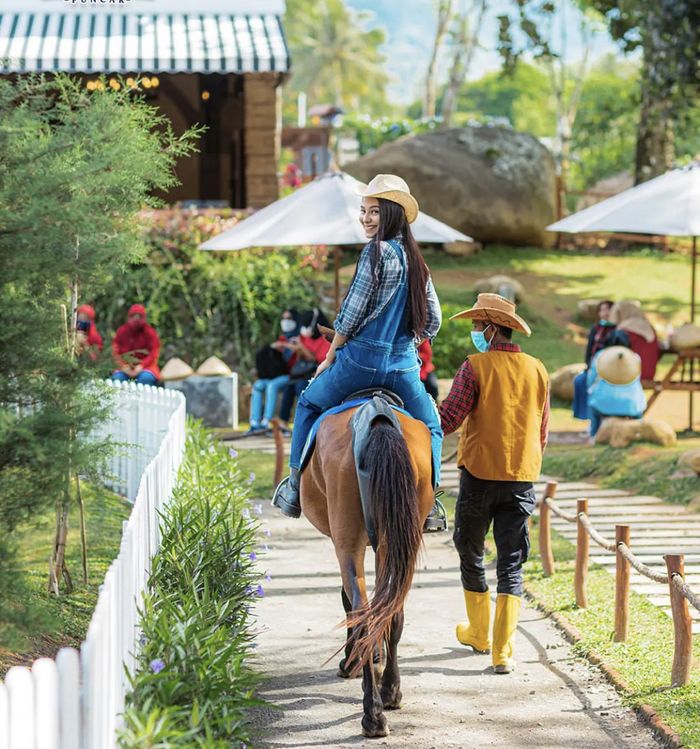 Berapa Harga Tiket Masuk Cimory Dairyland Puncak, Tempat Wisata di ... Berapa Harga Tiket Masuk Cimory Dairyland Puncak, Tempat Wisata di ...