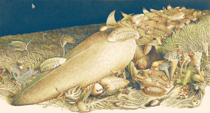 Fosil Hewan Laut di Maroko, Laut Ordovisium Awal Dikuasai Arthropoda ...