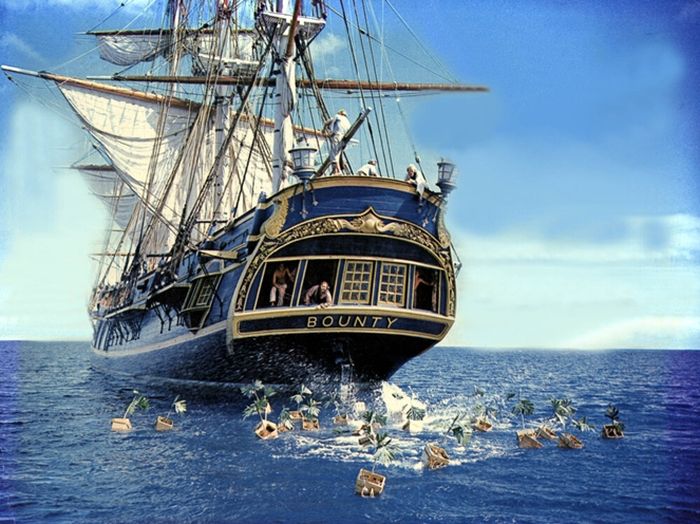 Telusuri Sejarah Sukun Karibia Hingga Perjalanan Kapten William Bligh ...