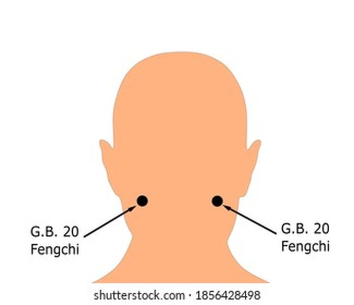 Jika Mengalami Sakit Kepala Vertigo? Pijat Bagian Tubuh Ini, Segar Rasanya - Semua Halaman ...