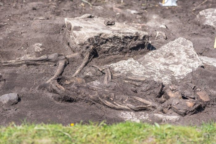 DNA Kuno Mengungkapkan Imigrasi ke Skandinavia Selama Periode Viking ...