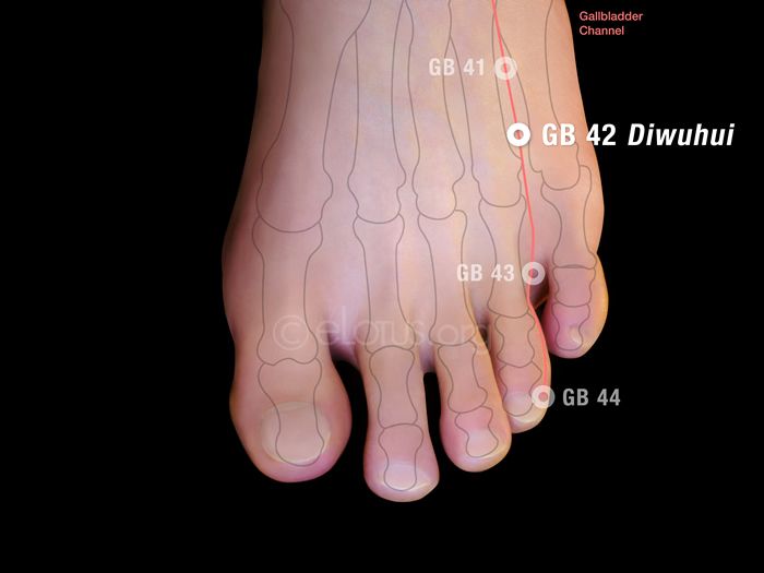 Titik Refleksi Kaki Untuk Atasi Asam Urat Tinggi, Perhatikan Titik ...