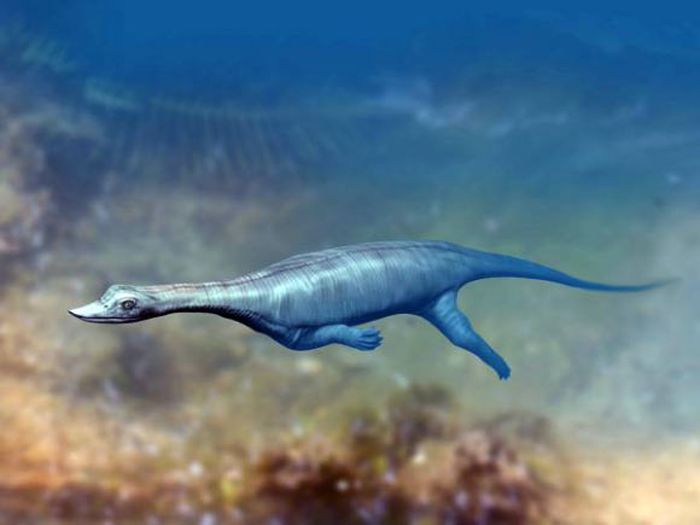 Paleontolog Mendeskripsikan Reptil Laut Purba dari Fosil di Tiongkok ...