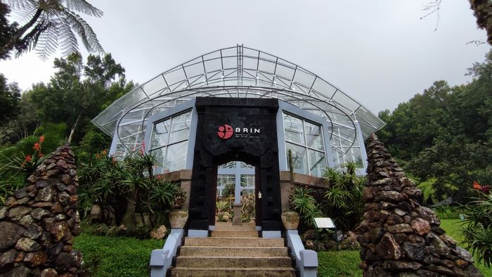 Peringati Hari Pendidikan Internasional, Simak Pilihan Program ...