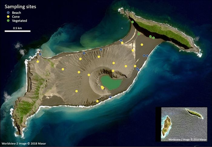 Singkap Komunitas Mikrob Unik yang Hidup di Bekas Pulau Hunga Tonga ...