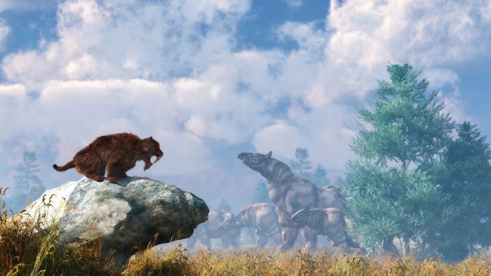 Kucing Pernah Menghilang Selama 7 Juta Tahun dari Amerika Utara ...